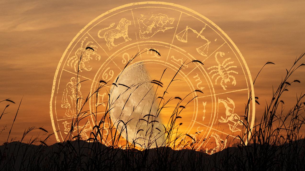 Exploring Quarter Points of Square Numbers - GannZilla